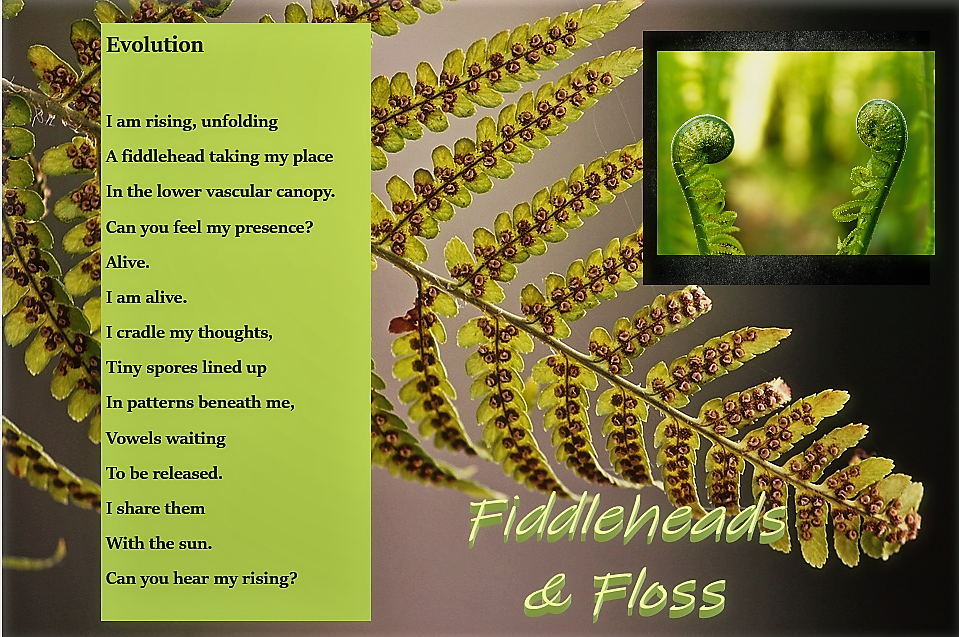 A Celebration of Life Poem : Evolution, “I Am Alive!” – Fiddleheads ...